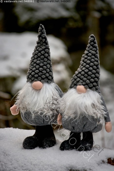 Kuva: Tontut - tonttu harmaa hiippalakki valkoparta parta metsä lumi ...