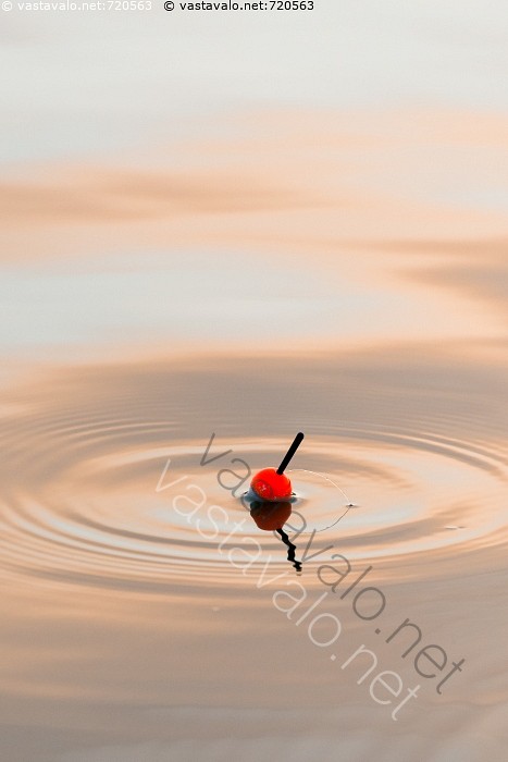 Kuva: Ongella - Itämeri harrastus kalastus kellua koho kuvajainen ...