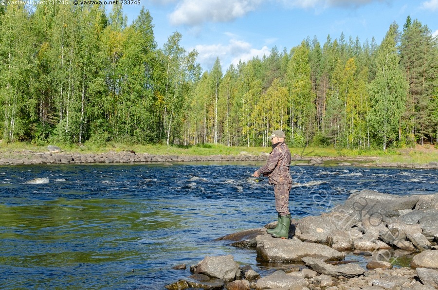 Kuva: Kalastaja virvelöimässä - kalastaminen kalastus mies ihminen ...