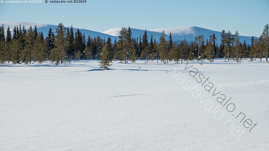 Kuva: Tunturit - tunturi Pallas-Yllästunturin kansallispuisto lumihanki ...