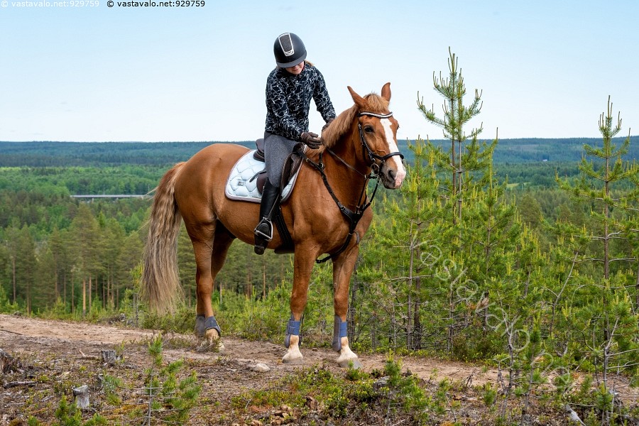 Kuva: Maastoratsastus - maastoratsastus maasto ratsastus vaara maisema ...