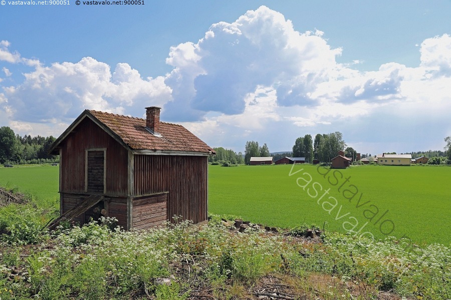Kuva: Vanha riihi - vanha kuivausriihi hylätty riihi kesä kesäinen ...