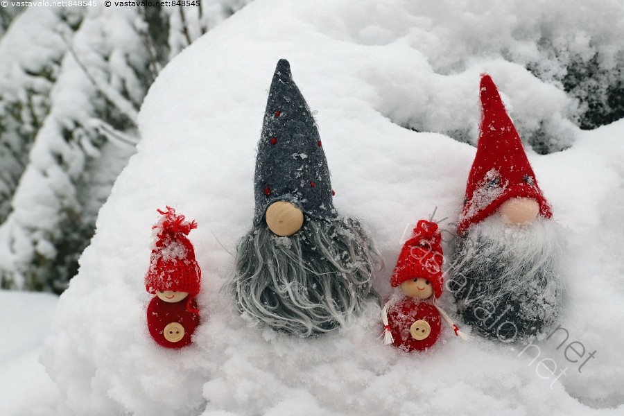 Kuva: Tonttuja lumessa - tonttuja joulu tonttu metsä pieni iso lumi ...