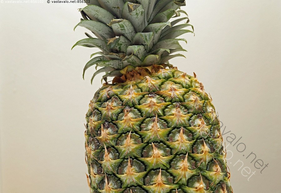 Kuva: Ananas - Ananas comosus hedelmä kasvi makea tuore lehti ruoka ...