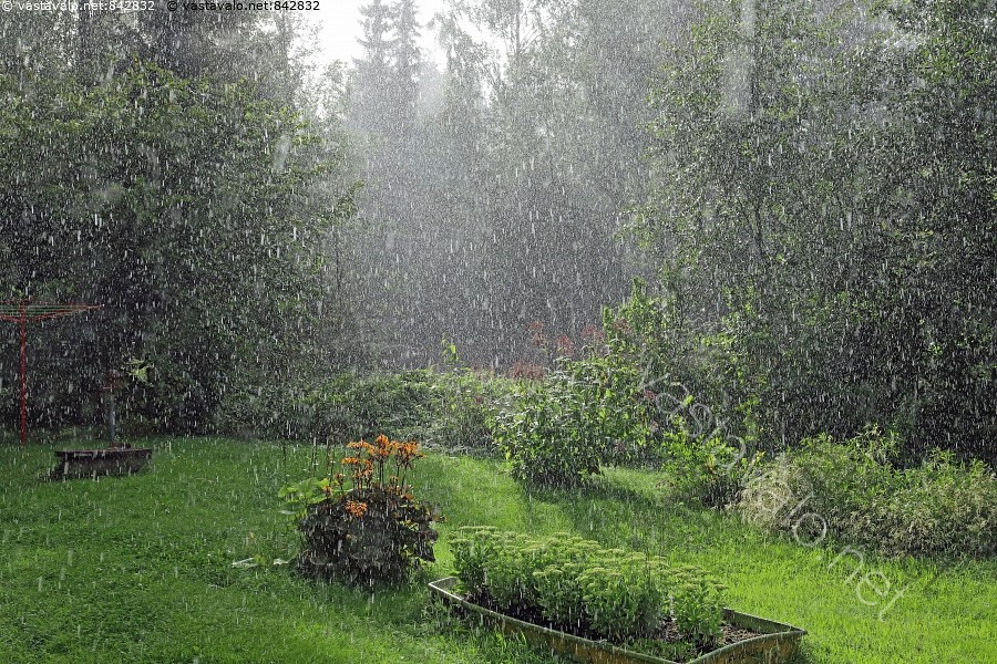 Kuva: Sataa ja paistaa - kaatosade sade rankkasade sataa vettä ...