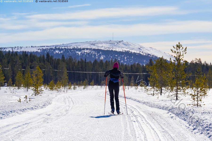 Kuva: Kohti Ukko-Luostoa - hiihtäjä sauvat sukset vapaa tyyli latu ...