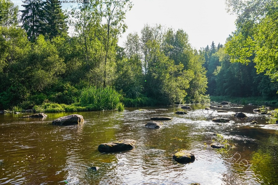 Kuva: Vantaanjoki aamuauringossa - joki vesi virtaa kivi kivet vehreä ...
