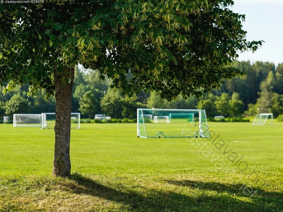 Kuva: Jalkapallokenttä aurinkoisena kesäpäivänä - nurmikenttä ...