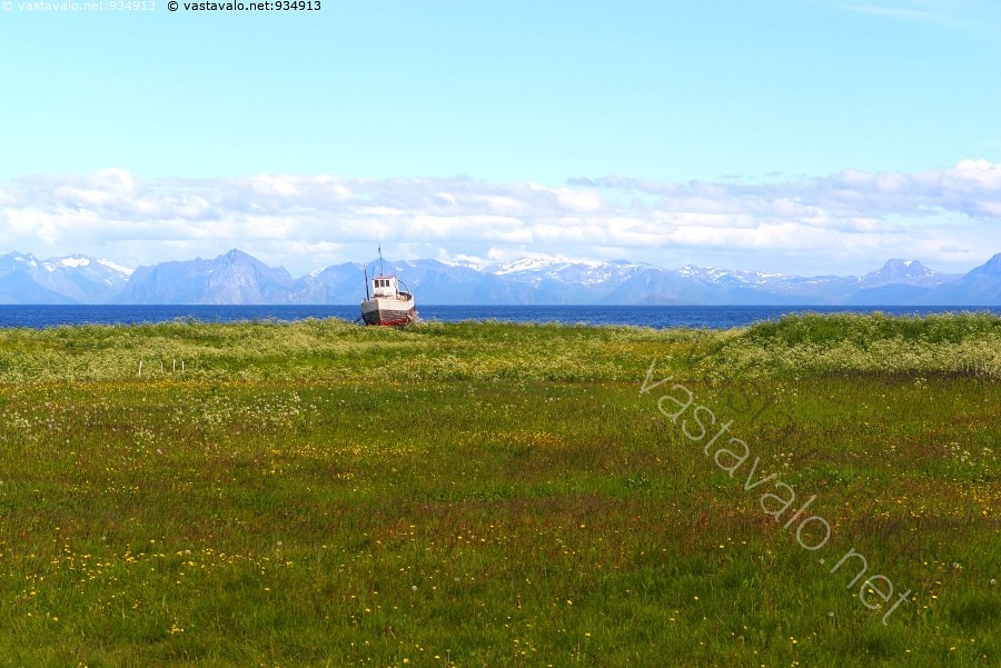 Kuva: Kalastusvene rantaniityllä Lofooteilla - niitty rantaniitty ...