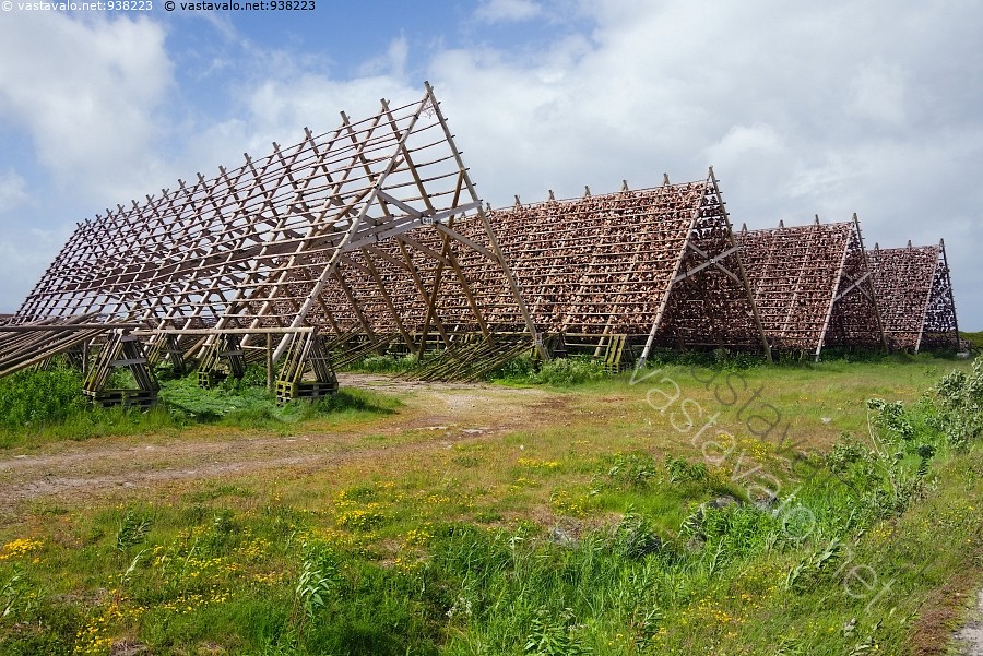 Kuva: Kalankuivaustelineet - kapakala kuivata ilmakuivattu kuivattu ...