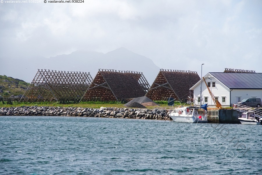 Kuva: Kapakalan kuivausta - kapakala kuivata ilmakuivattu kuivattu ...