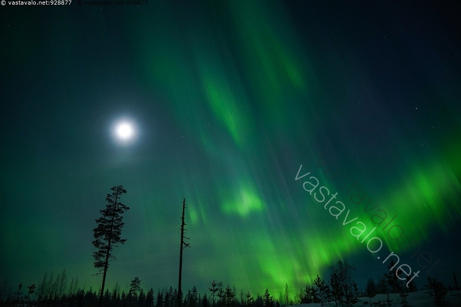 Kuva: Revontulet - revontuli Aurora borealis talvi lumi kylmä yö ...