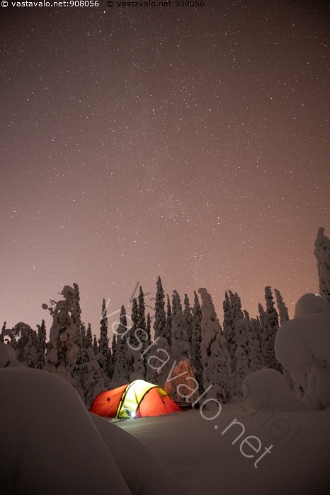 Kuva: Teltta tähtitaivaan alla - teltta talvitelttailu metsä lumi ...