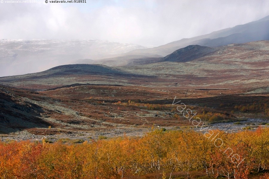 Kuva: Tunturimaisema - ruska Lappi joki Kalottireitti lumihuiput ...