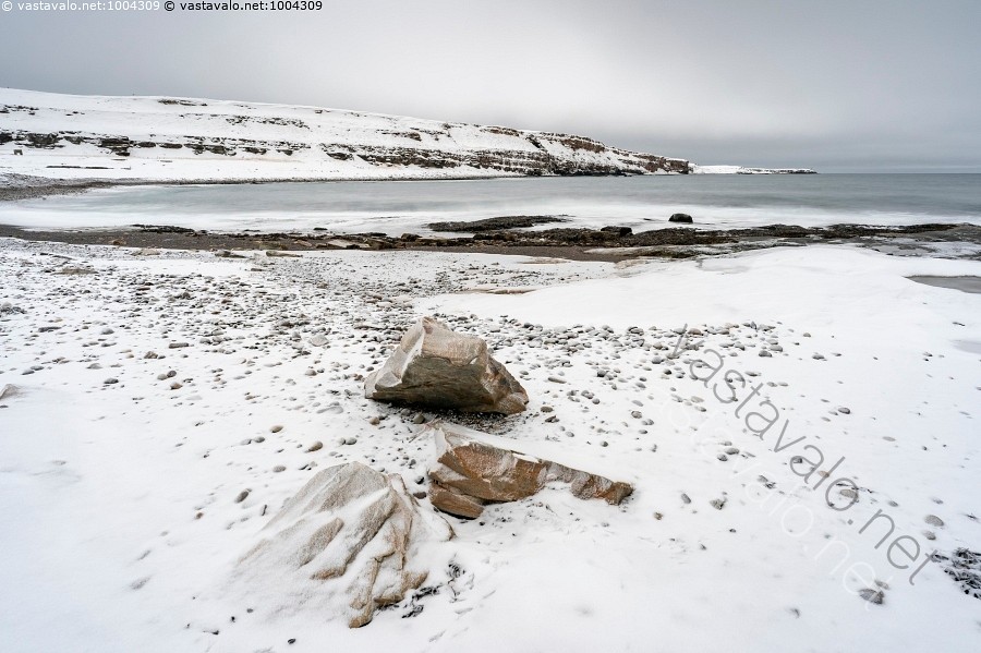 Kuva: Varanginvuonon rantaa kaamoksen harmaudessa - Pohjois-Norja ...